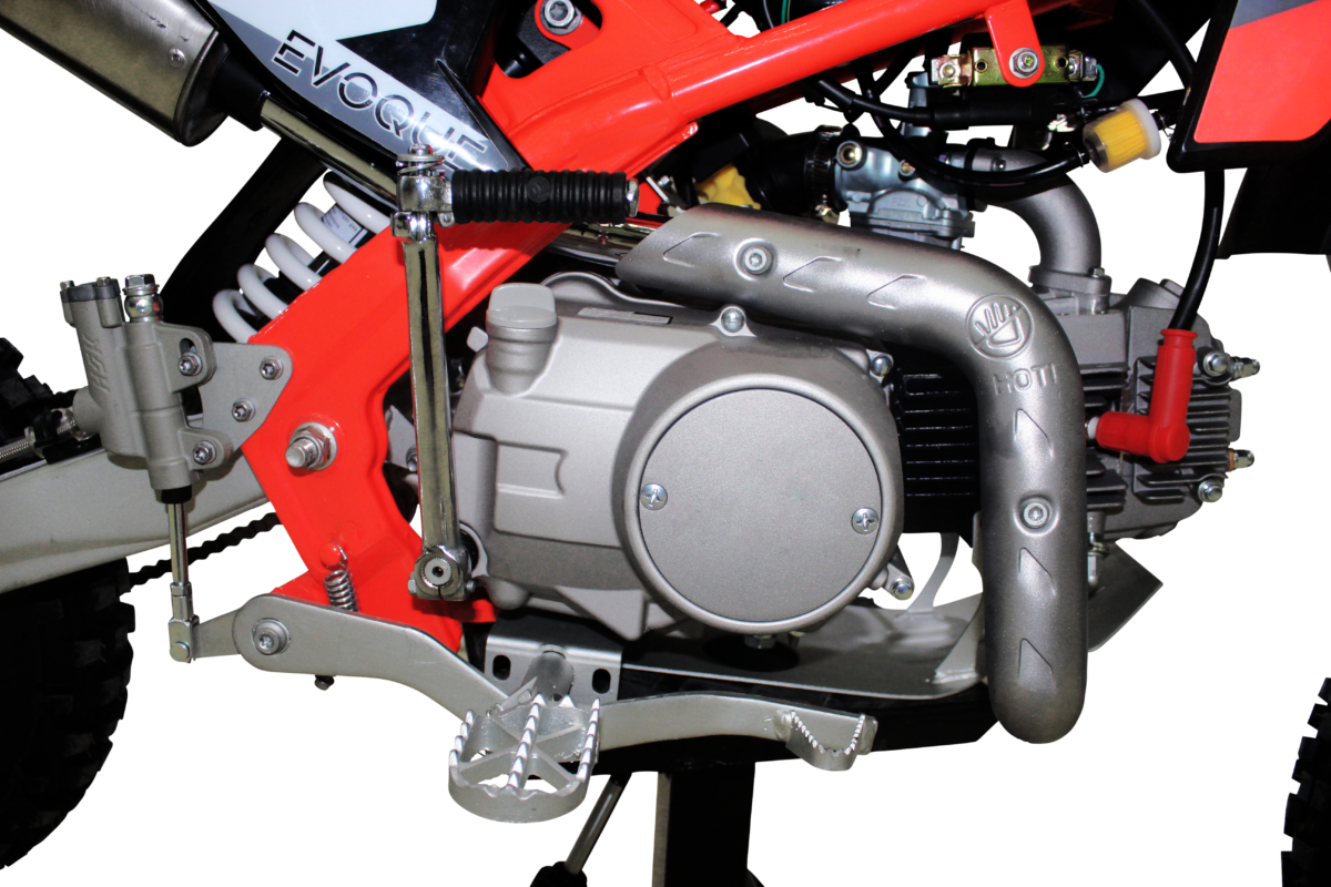 Evoque VQ-125R - Yilmaz's E-Bikes I EMMO, GOTRAX, GIO, DAYMAK Official ...